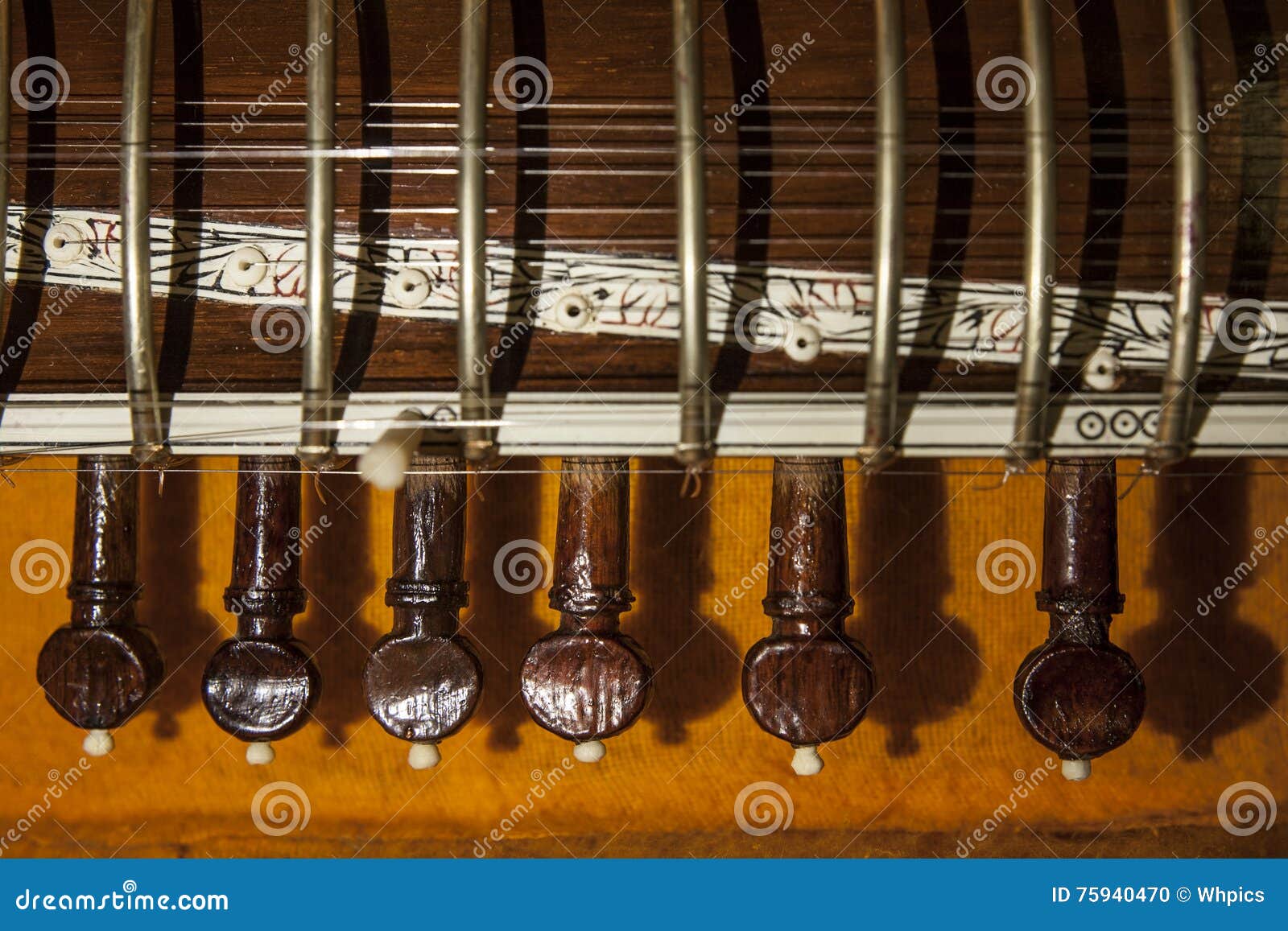 Instrument Case with Sitar, a String Traditional Indian Musical Stock ...