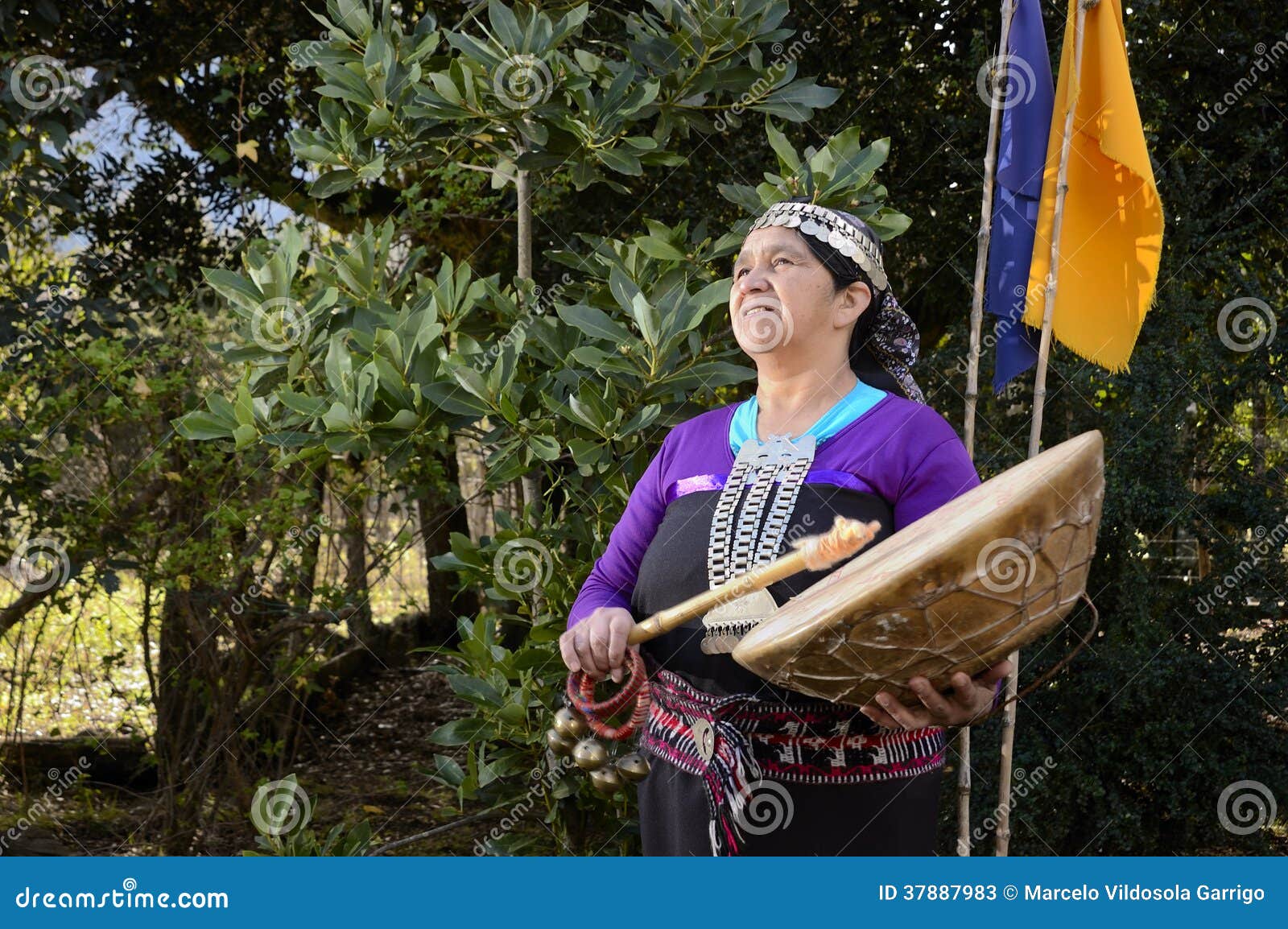 Instrument De Musique Traditionnel De Mapuche Photo stock éditorial ...