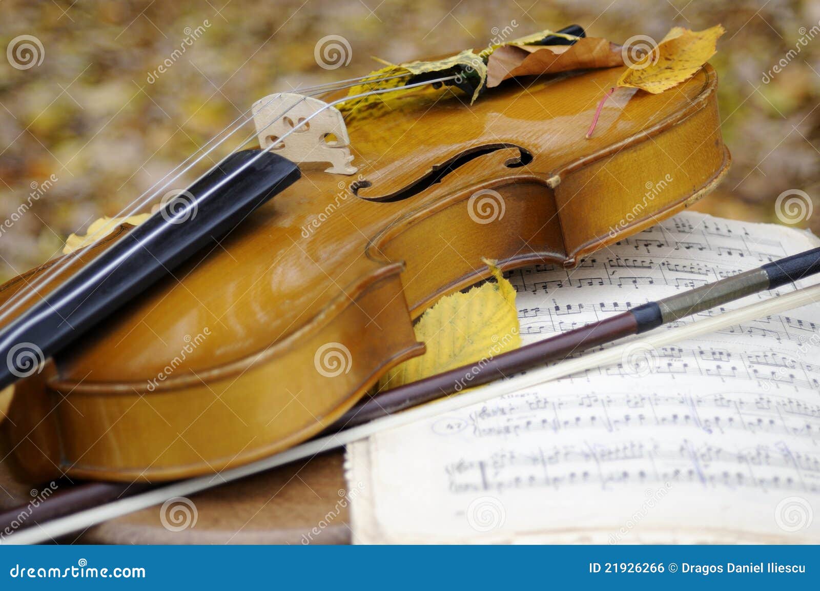 Instrument with Leaves and Musical Sheet Stock Photo - Image of note ...