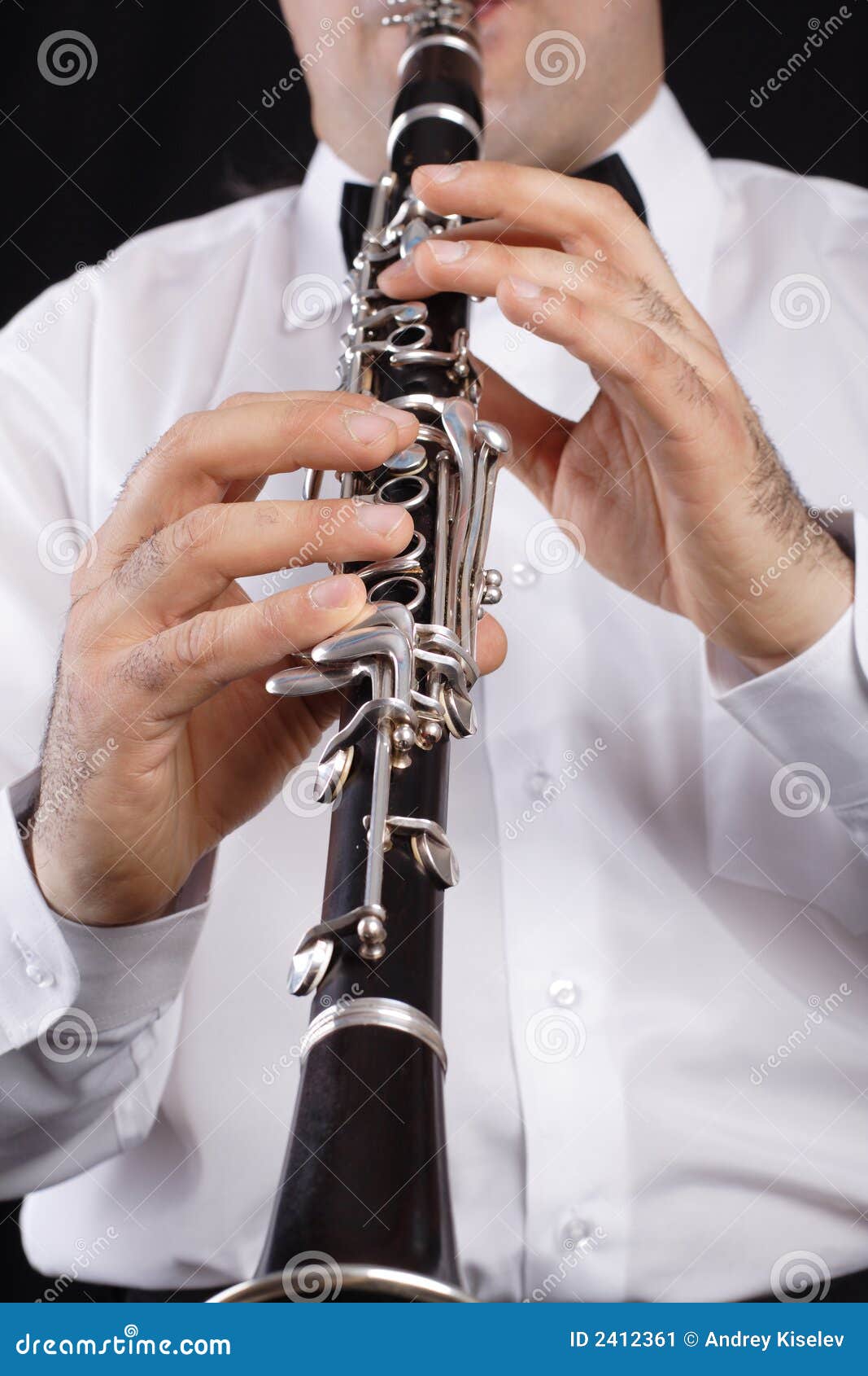 Instrumental stock image. Image of musicians, melody, clarinet - 2412361
