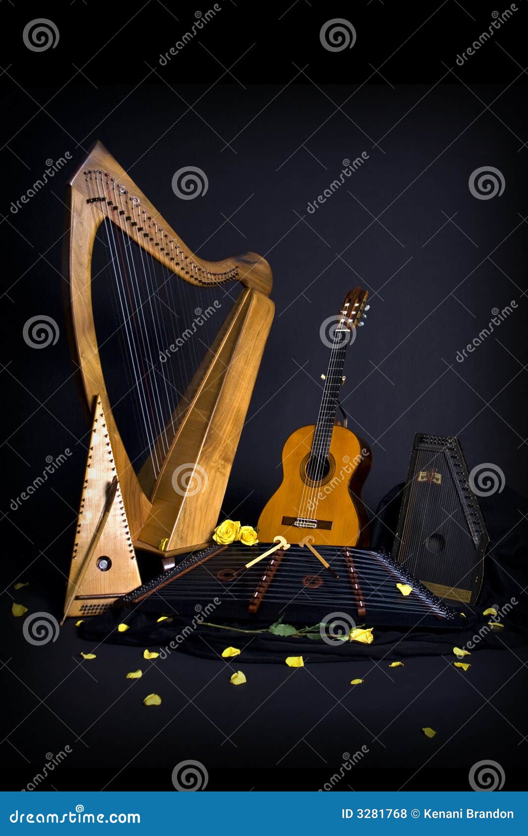 Instruments and rose stock photo. Image of portrait, string - 3281768