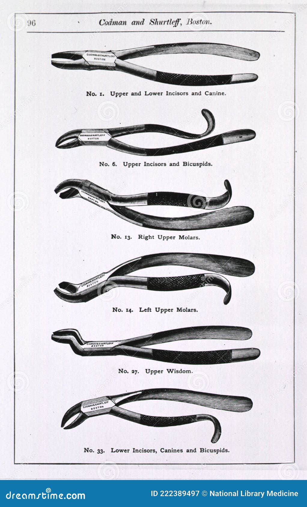 Instruments For Tooth Extraction Picture. Image: 222389497