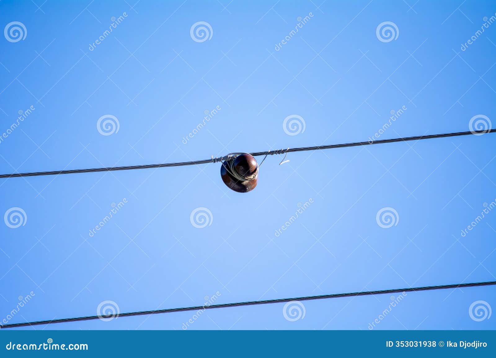 Insulator Hanging on a Wire Stock Photo - Image of screenshot, wall ...