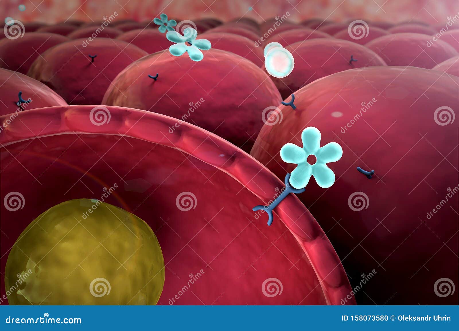 Mechanism of Action of Insulin Stock Illustration - Illustration of ... Mechanism of Action of Insulin Stock Illustration - Illustration of ...