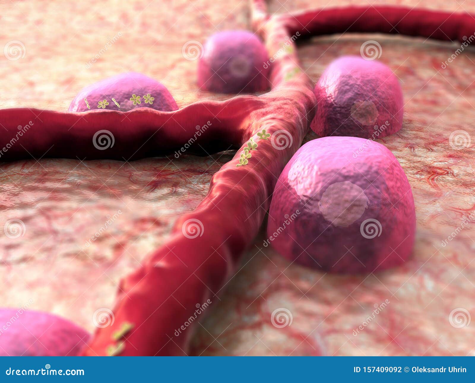 Beta Cells on the Pancreas Surface Stock Illustration - Illustration of ...