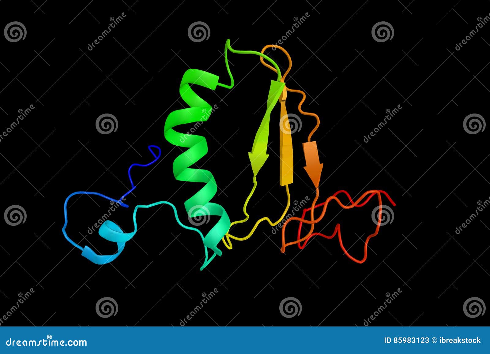 Insulin-like Growth Factor-binding Protein 6 (IGFBP-6), a Protein that ...