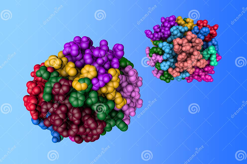 Insulin, Monoclinic Crystal Form. Molecular Model. Rendering with ...