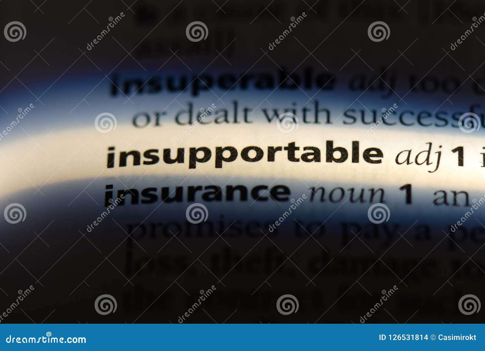 Insupportable stock photo. Image of dictionary, insupportable - 126531814