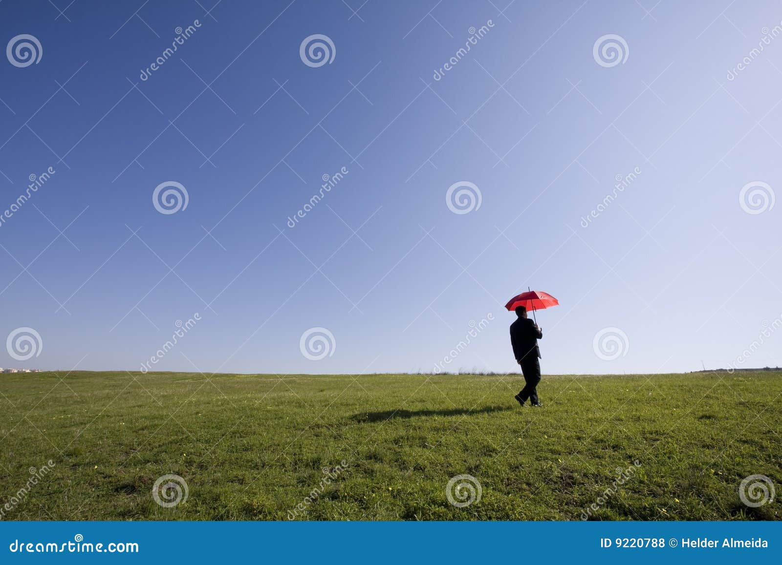 Insurance agent stock photo. Image of insurance, executive - 9220788