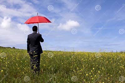 The insurance man stock photo. Image of adult, business - 4724006