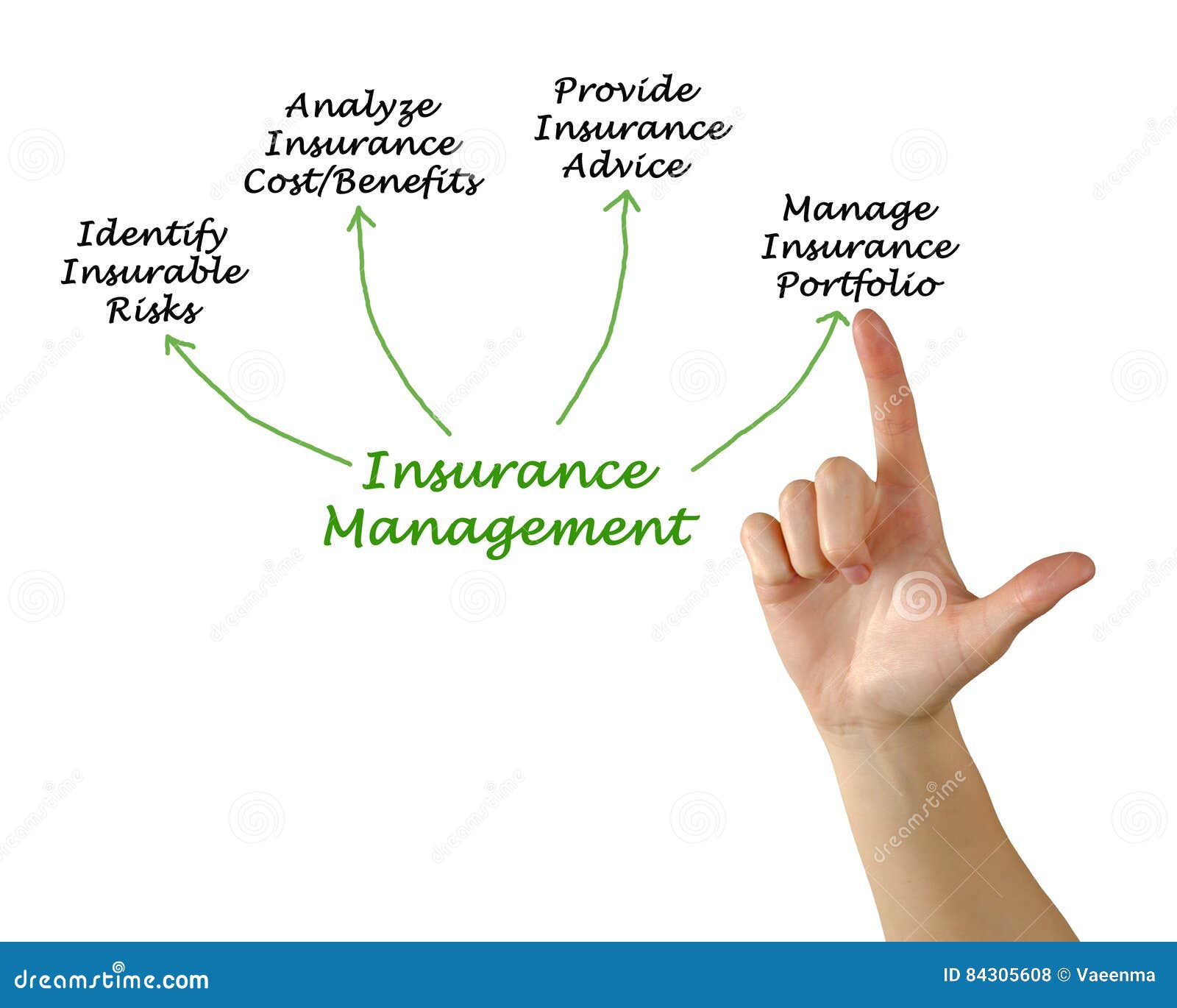 Insurance Management stock photo. Image of cost, woman - 84305608