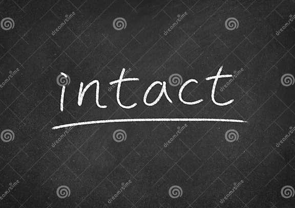 Intact stock photo. Image of chalk, chalkboard, education - 164653124