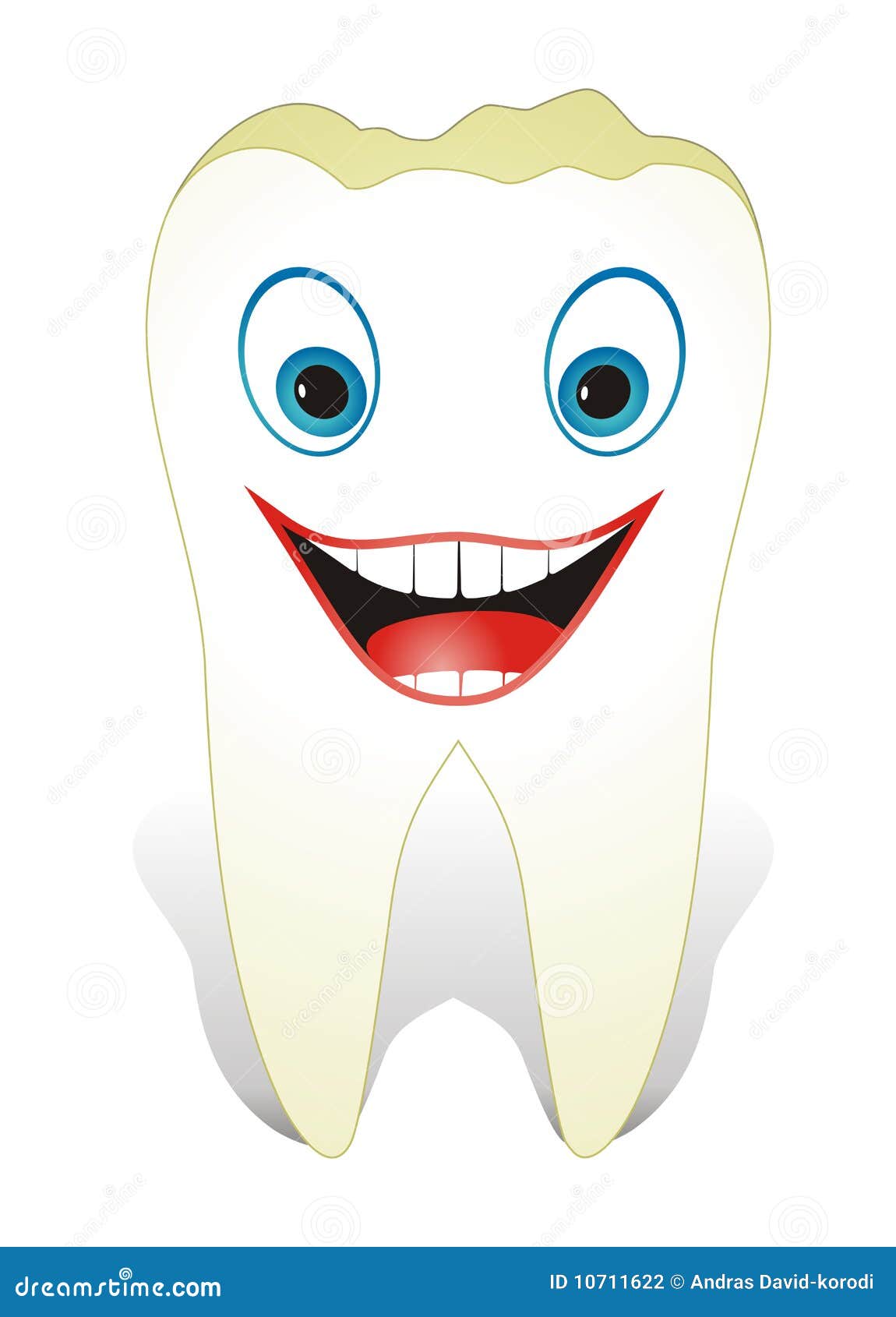 Molar Tooth. The Structure Of The Tooth. 3d Medical Illustration ...