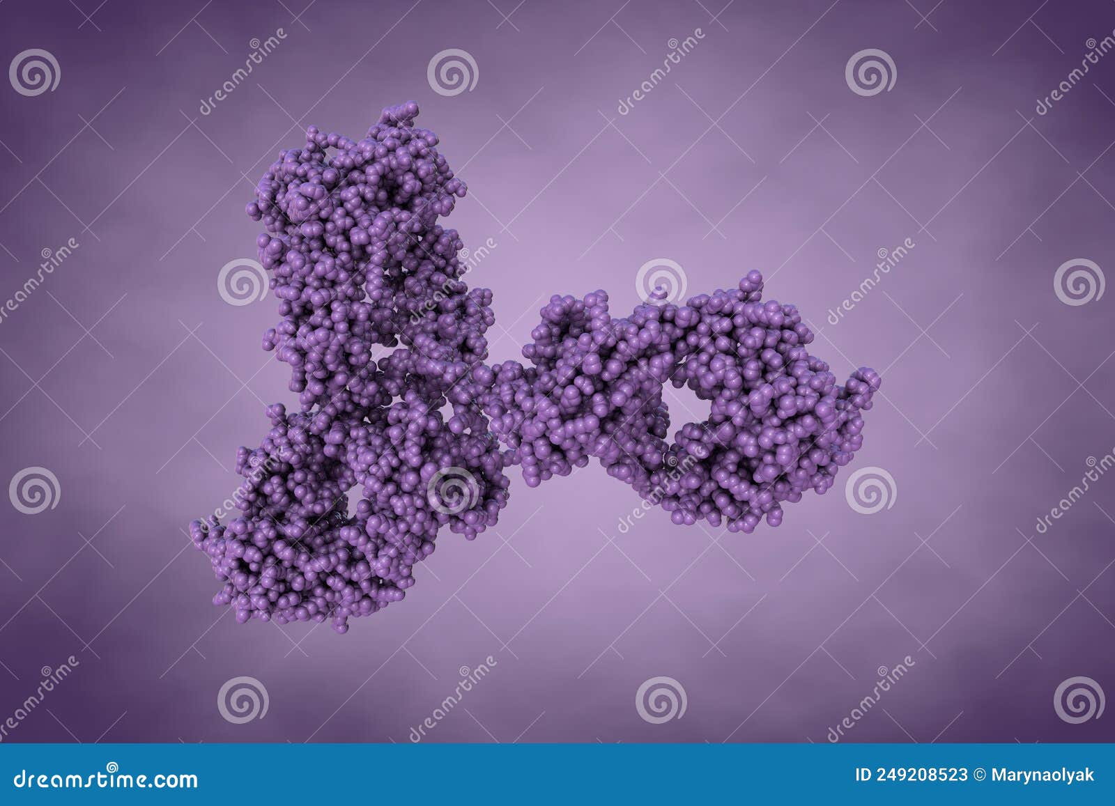 Intact Human Immunoglobulin IGG B12. Space-filling Molecular Model on ...