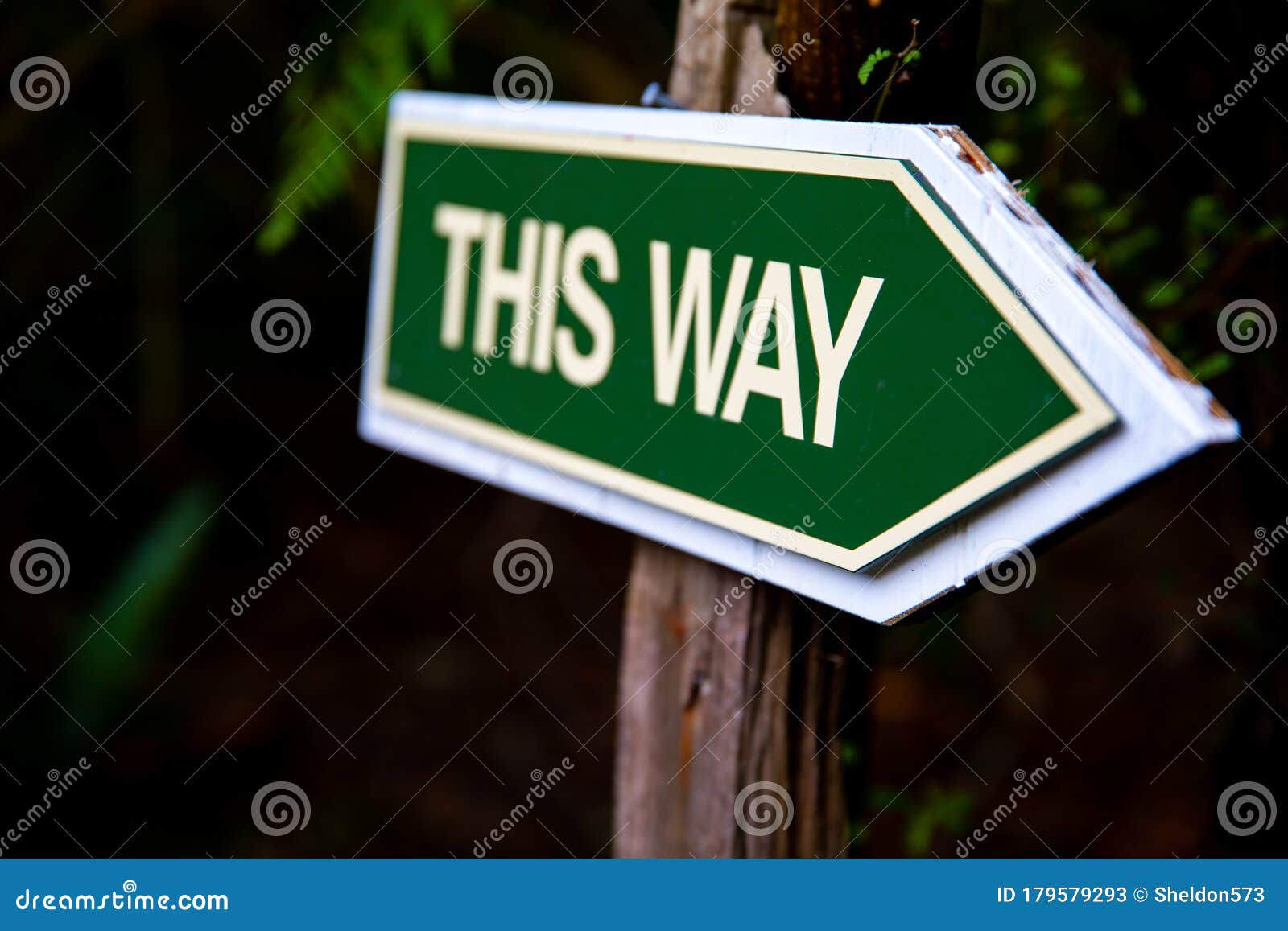 A Intage Green this Way Sign Stock Image - Image of help, guide: 179579293