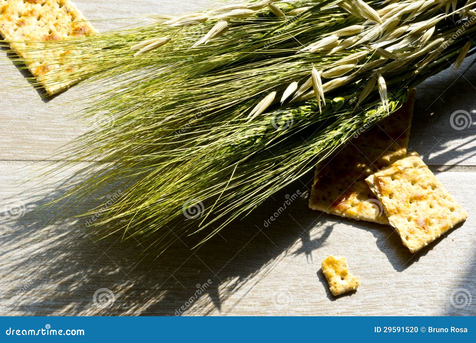 Integral crackers stock photo. Image of breakfast, detail - 29591520