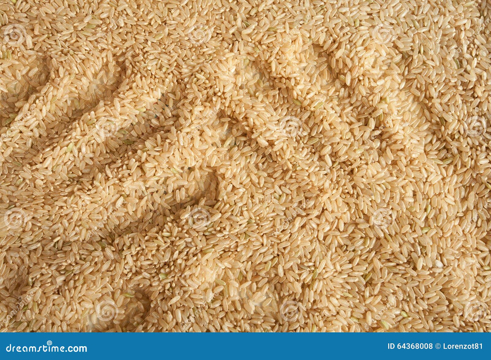 Integral Uncooked Brown Rice With Handprints Stock Photo ...