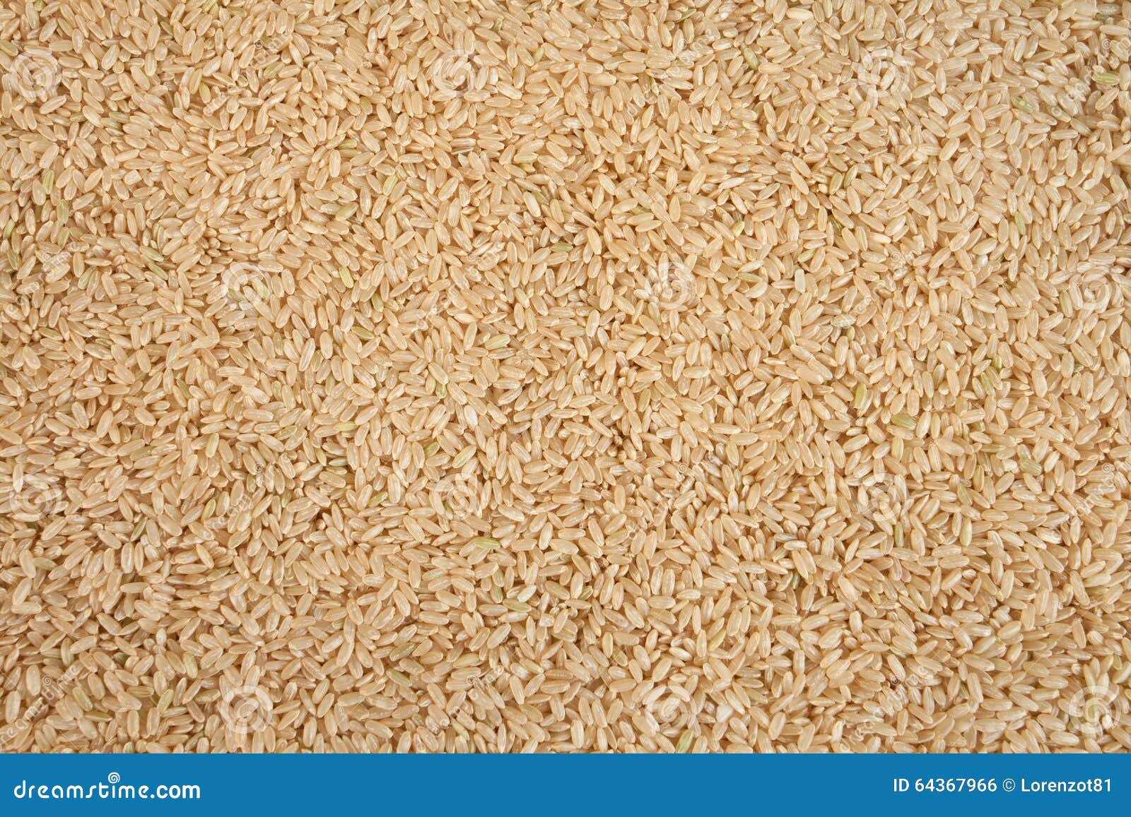 Integral Uncooked Brown Rice Texture Stock Photo - Image of brown ...