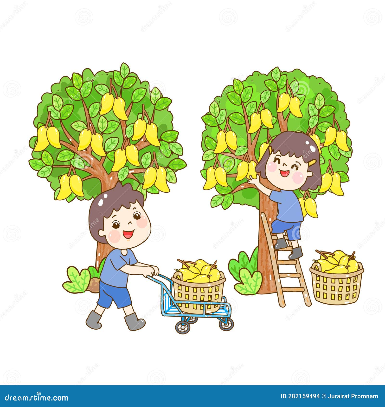 Farmer Mango Tree Isolated With The Mascot Vector Illustration ...