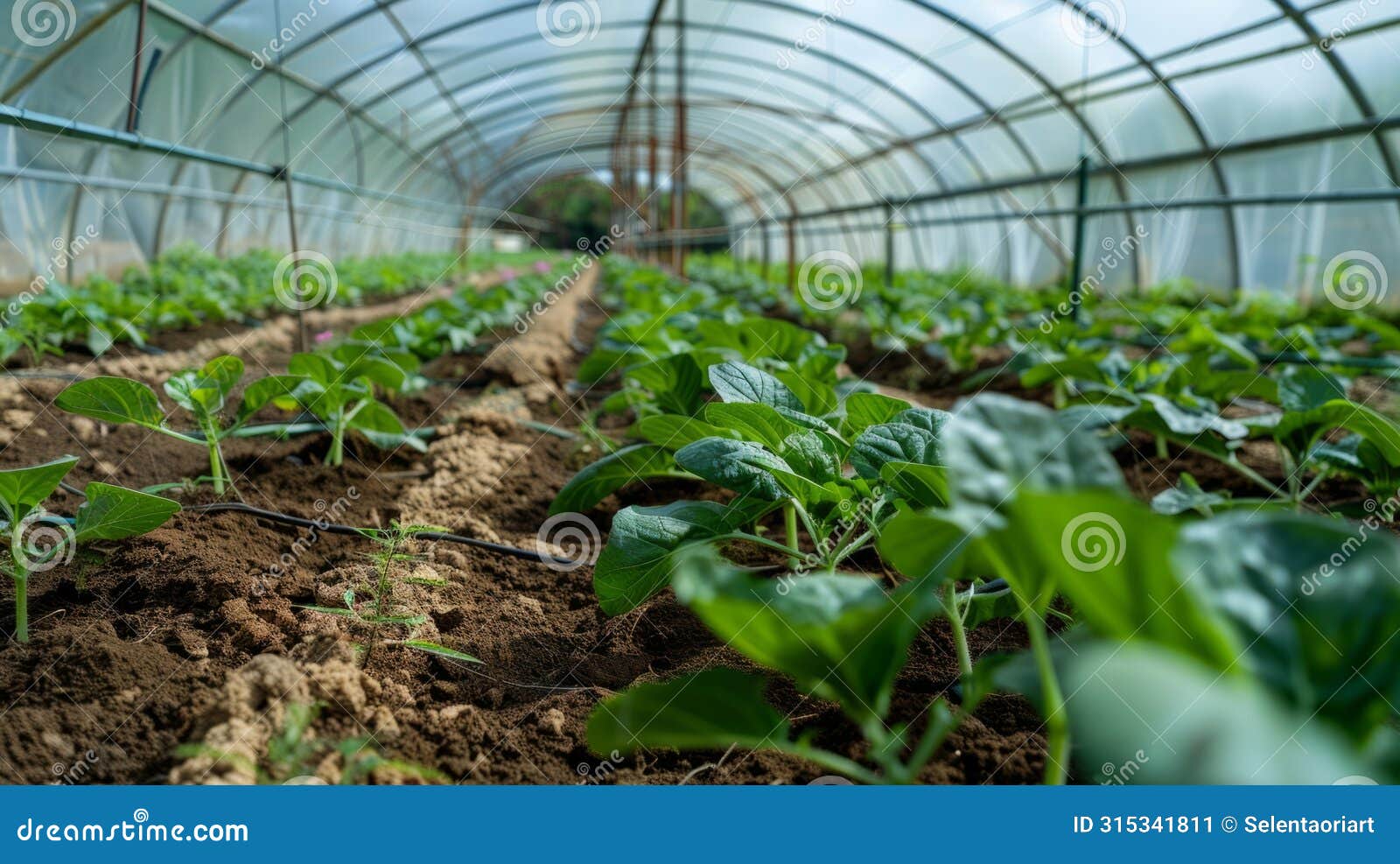 Integrated Pest Management Isolated Cartoon Vector Illustrations