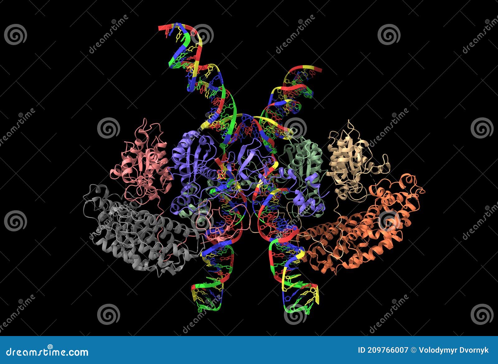 Cryo-EM Structure of Human T-cell Leukemia Virus Type-1 HTLV-1 Intasome ...