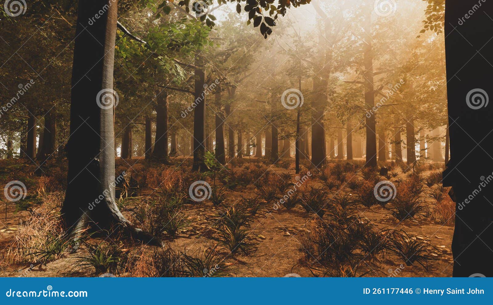 Integration of Technology in a Natural Environment, 3D Render Stock ...
