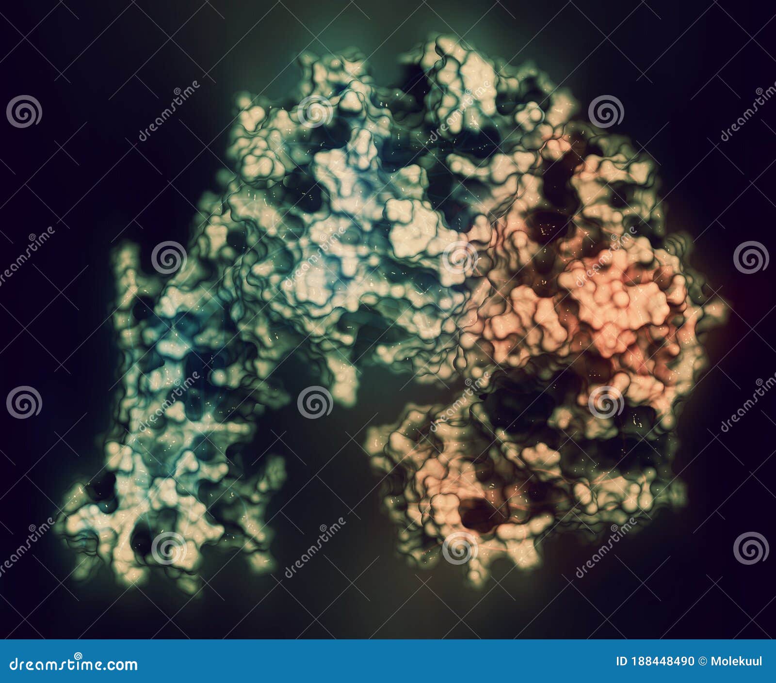 Integrin Alpha-4 Beta 7 (a4b7, Headpiece). Cell Surface Protein Complex ...