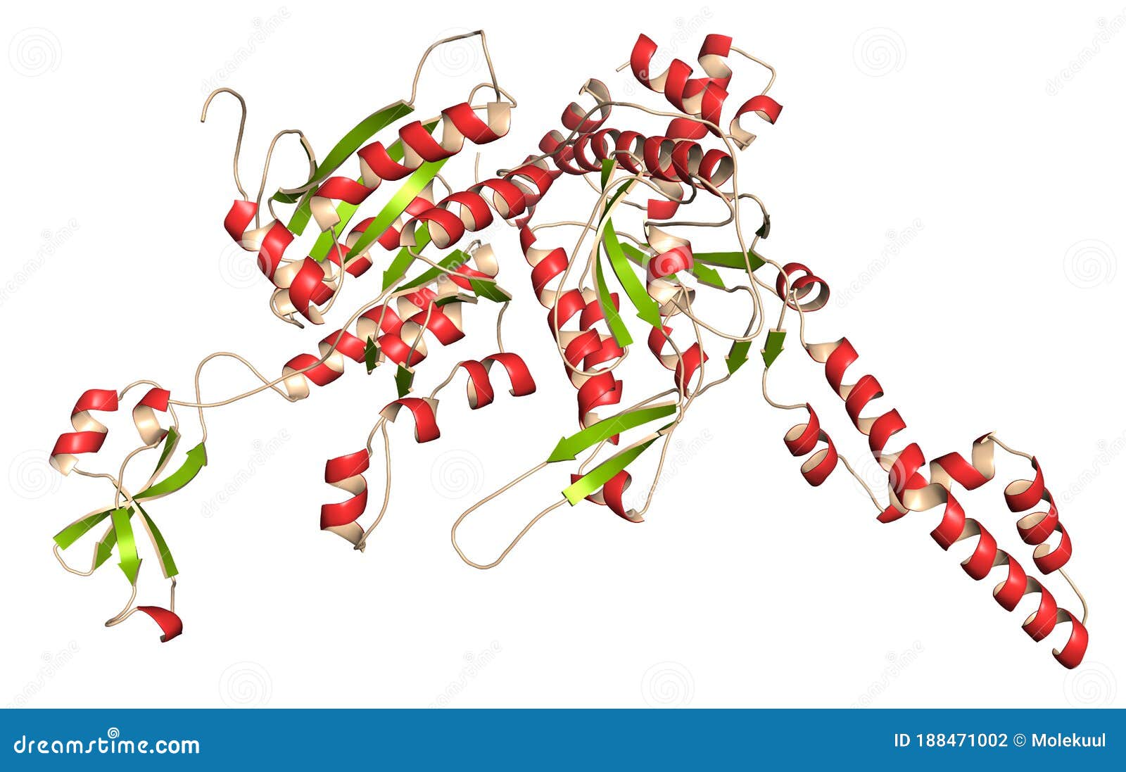 Integrin Alpha-4 Beta 7 (a4b7, Headpiece). Cell Surface Protein Complex ...
