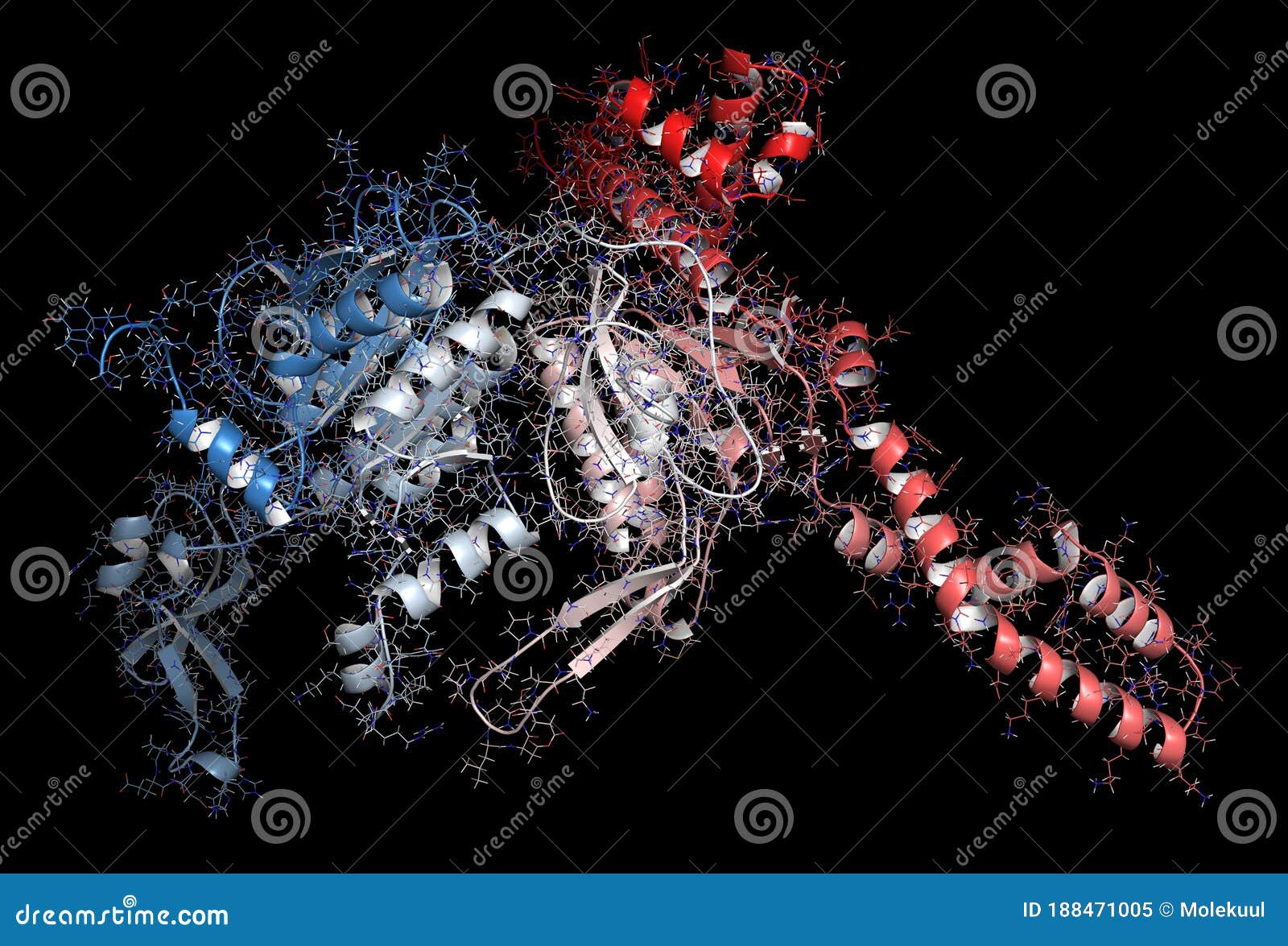 Integrin Alpha-4 Beta 7 (a4b7, Headpiece). Cell Surface Protein Complex ...