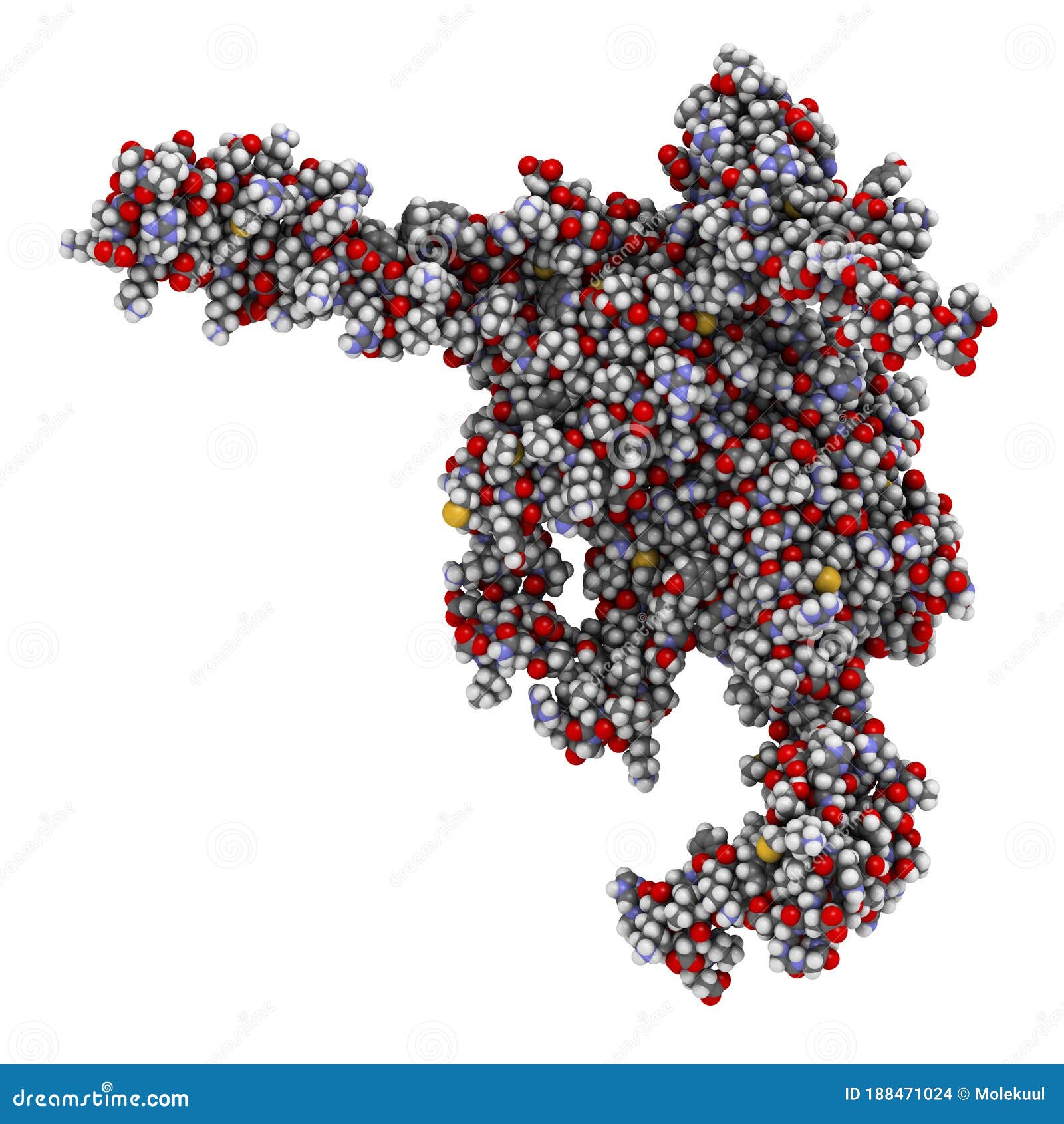 CD4 Surface Protein. Glycoprotein Present On A Number Of White Blood ...