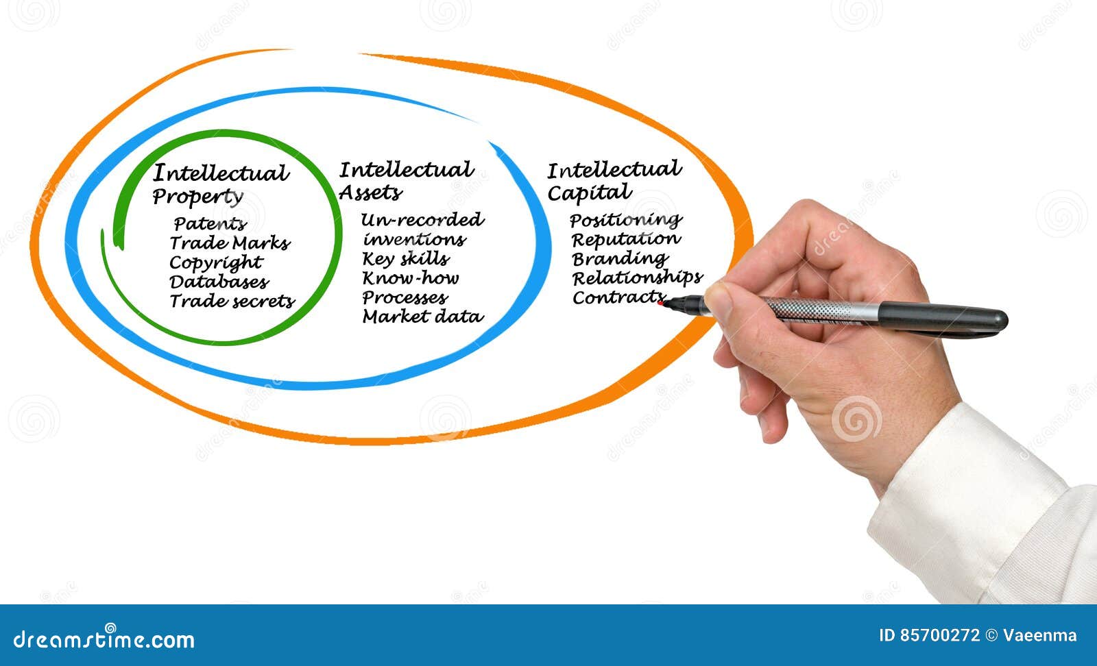 Intellectual Capital stock photo. Image of development - 85700272