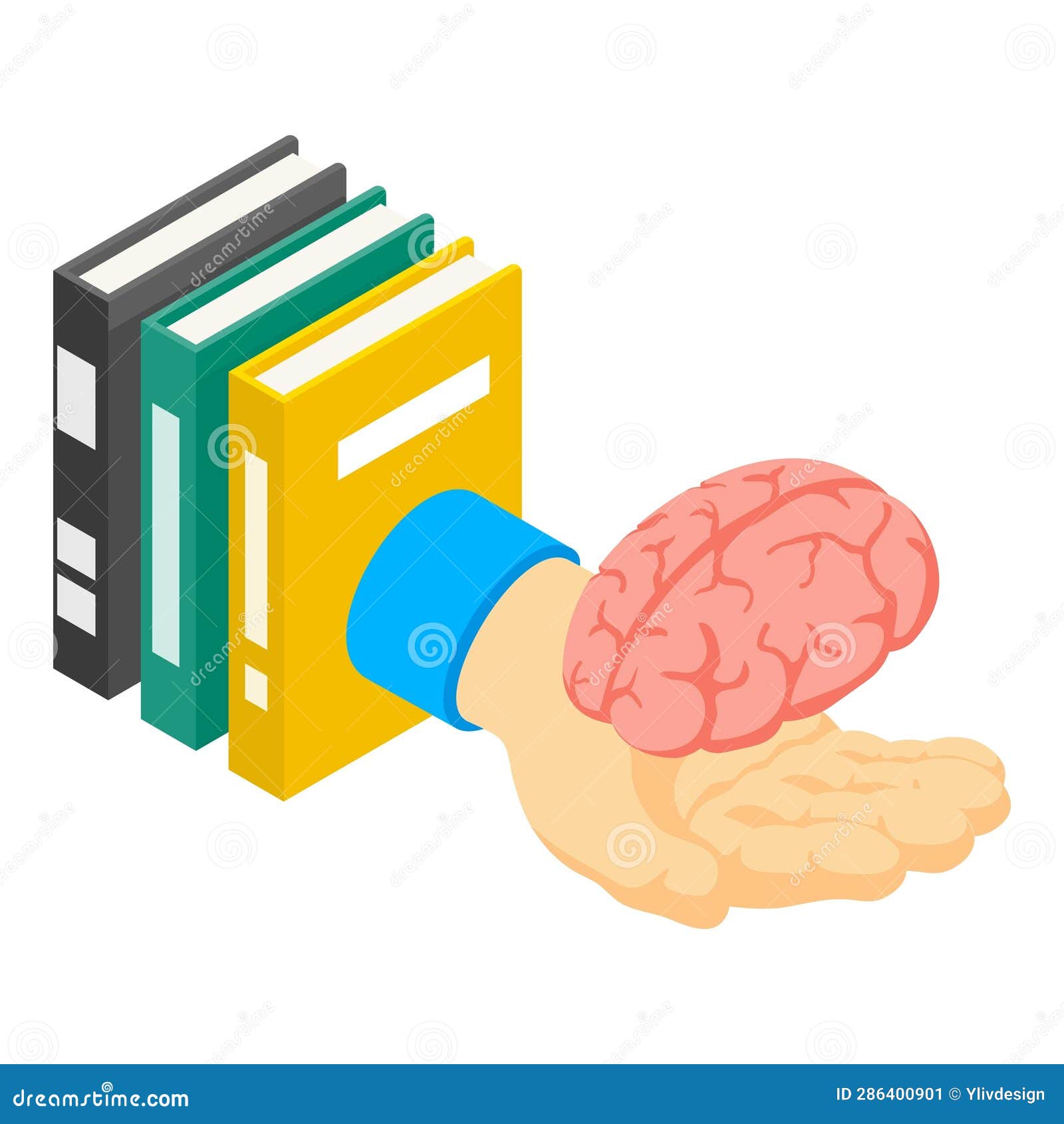 Intellectual Property Icon Isometric Vector. Realistic Human Brain in ...