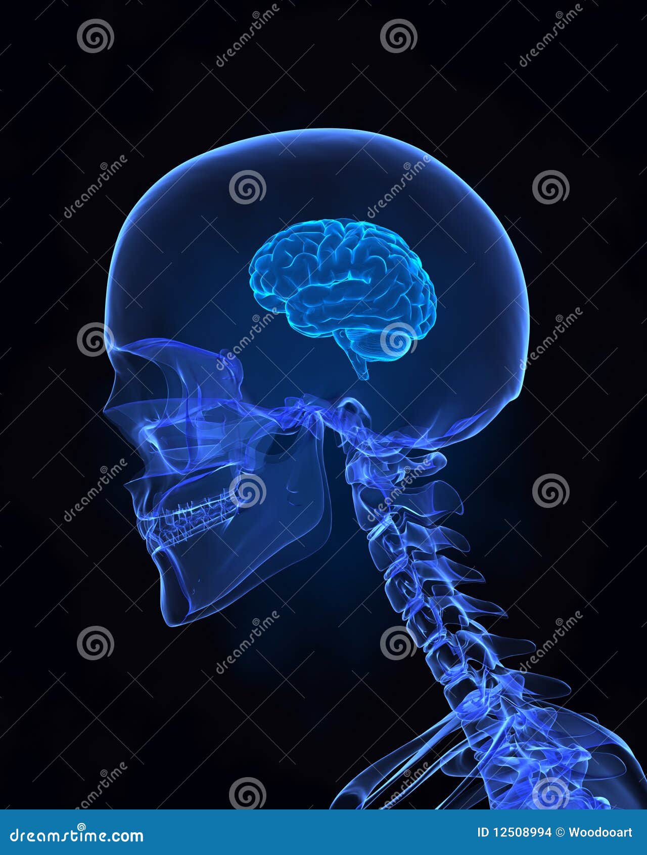 Intelligence concept stock photo. Image of think, mentality - 12508994