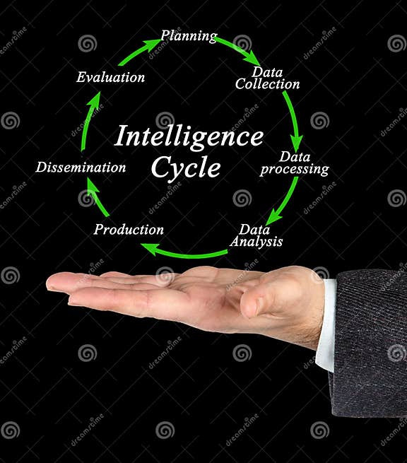Intelligence Cycle stock image. Image of intelligence - 240650581