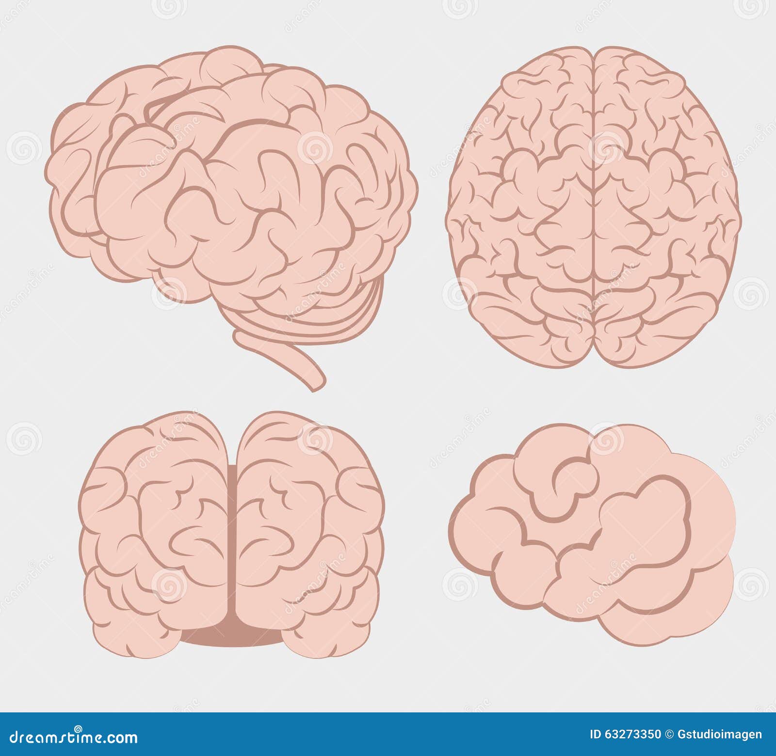 Intelligence of the Human Brain Stock Illustration - Illustration of ...