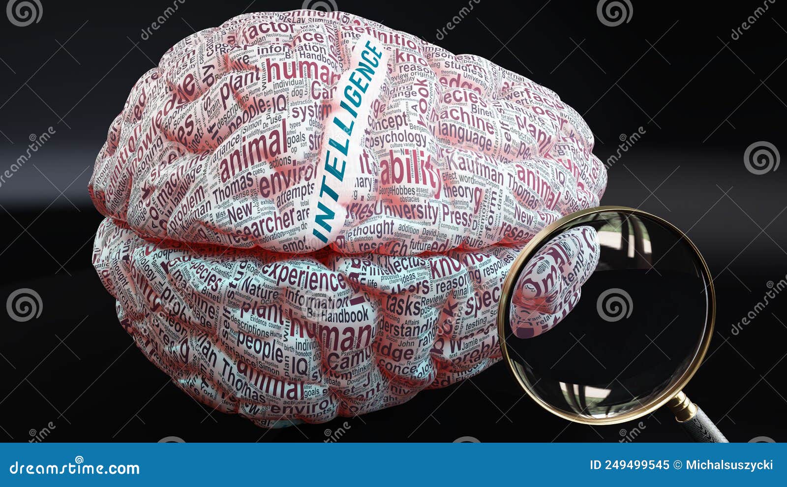 Intelligence in Human Brain Stock Image - Image of ideas, model: 249499545