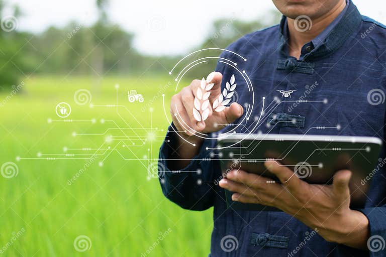 Intelligent Agriculture Technology Based on Wireless Network Control ...