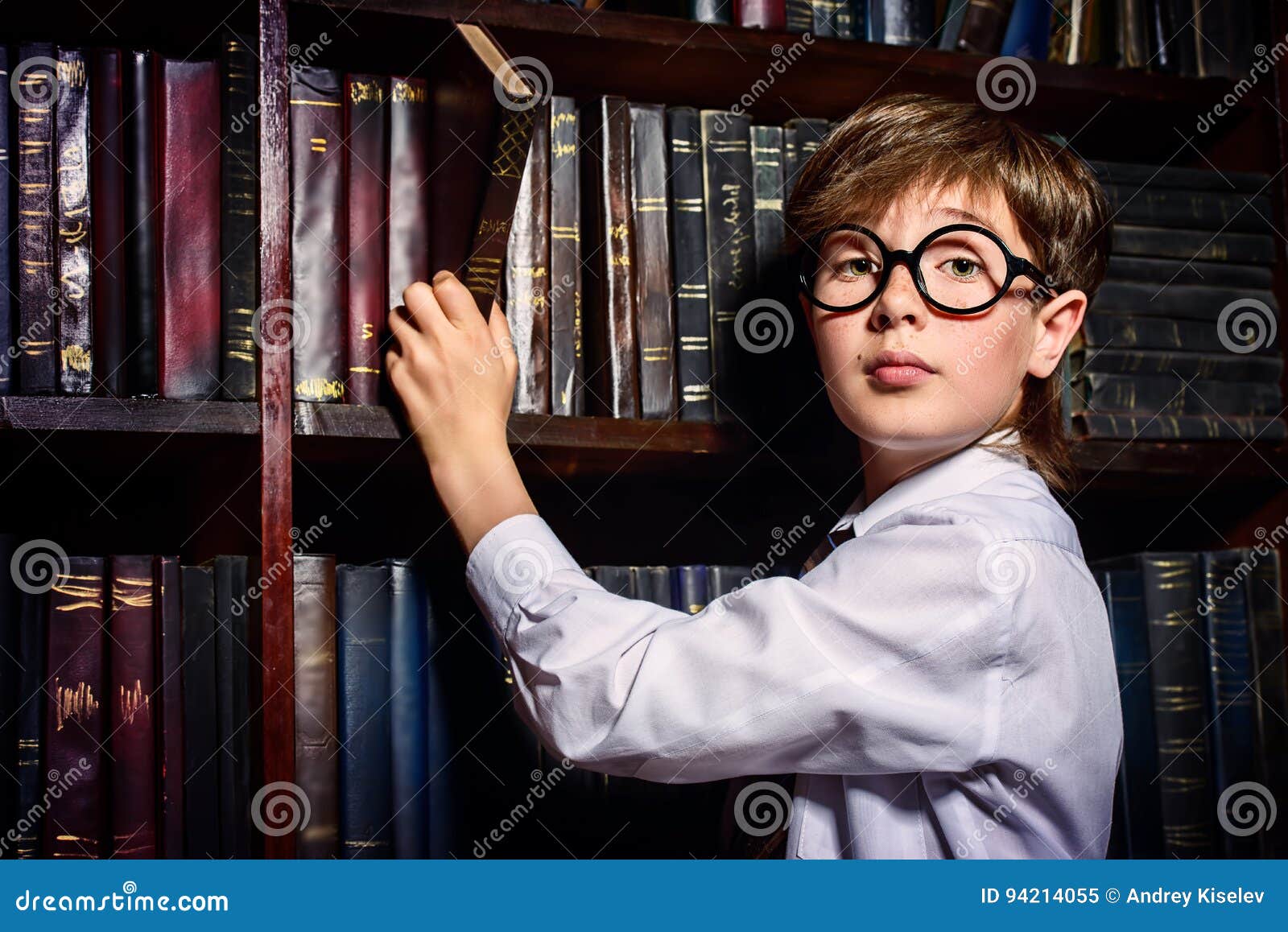 Intelligent Boy in a Library Stock Image - Image of portrait, caucasian ...
