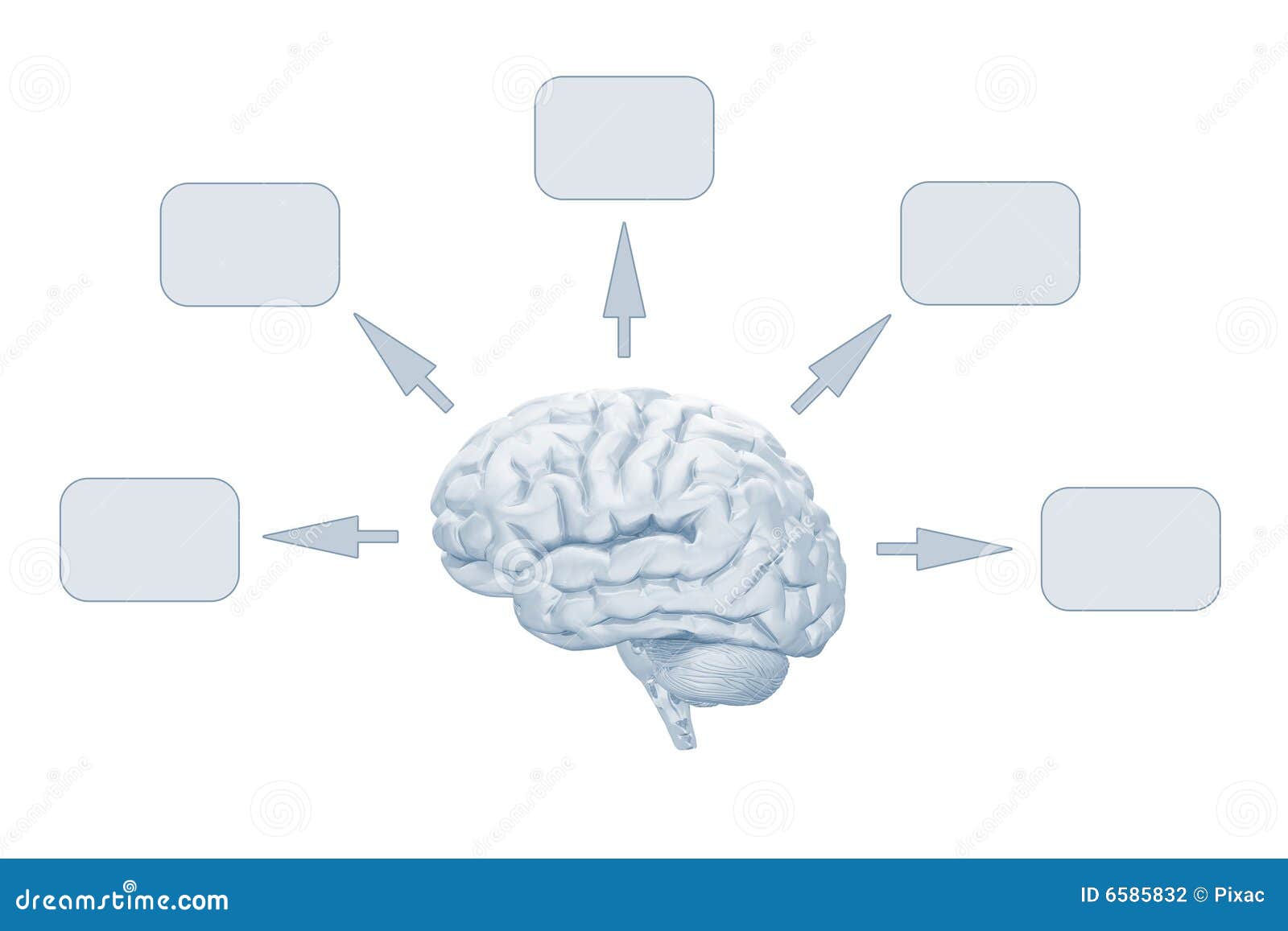 Intelligent Brain Stock Illustrations – 11,542 Intelligent Brain Stock ...