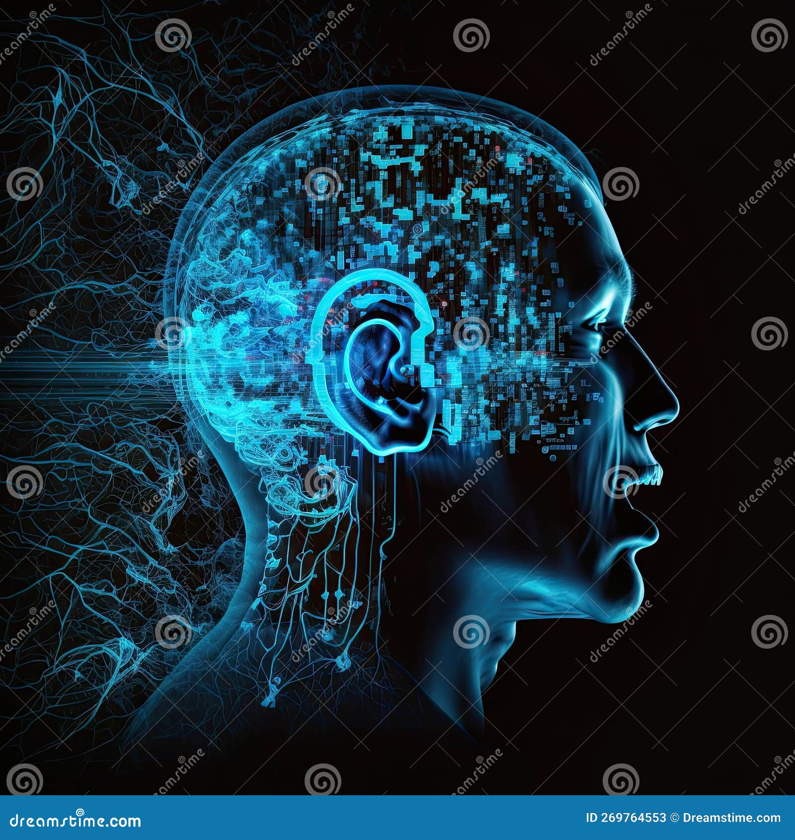 The Intelligent Brain, a Visual Exploration of Cognitive Processes and ...