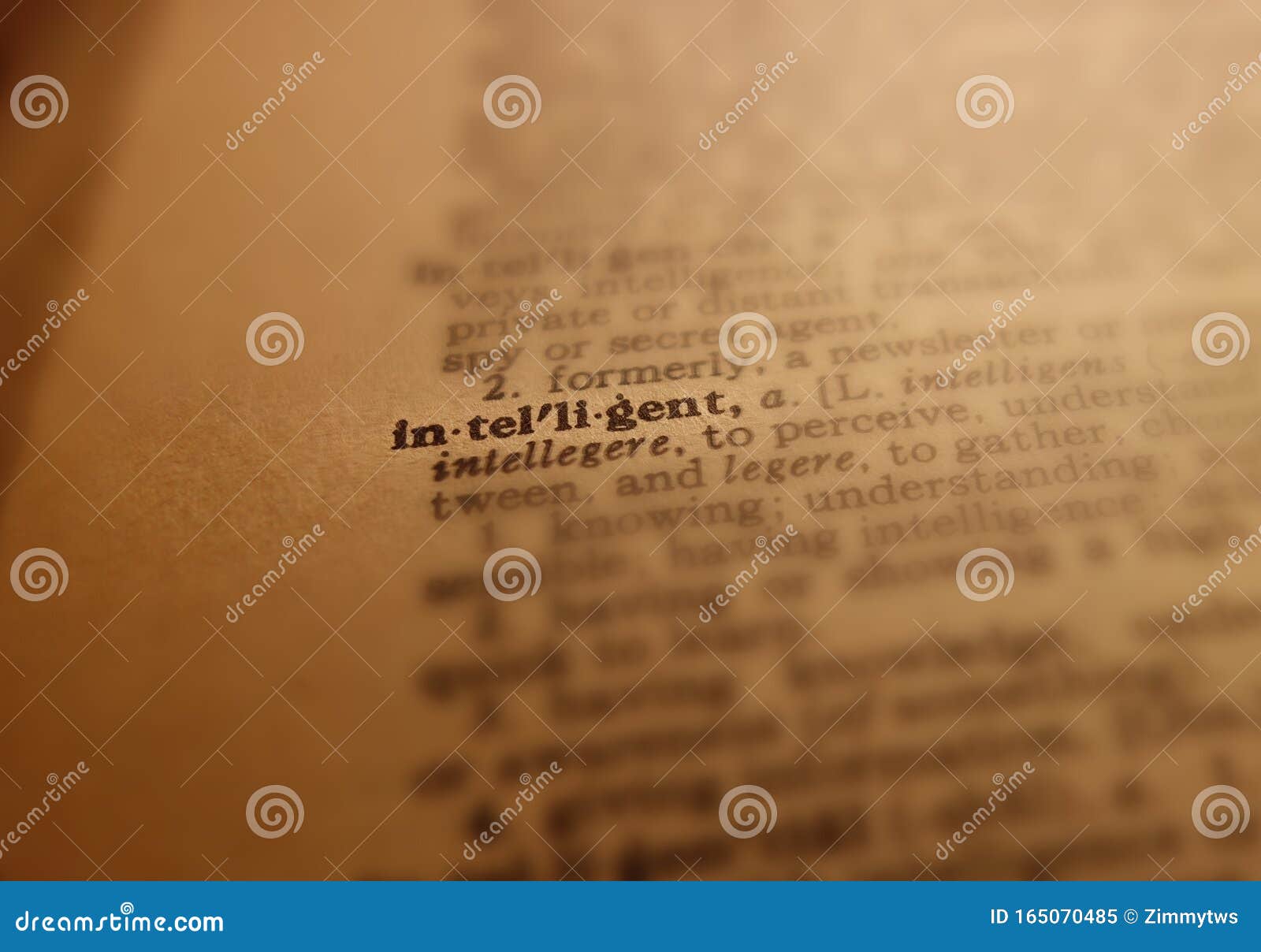 Intelligent Dictionary Definition Stock Image - Image of text ...