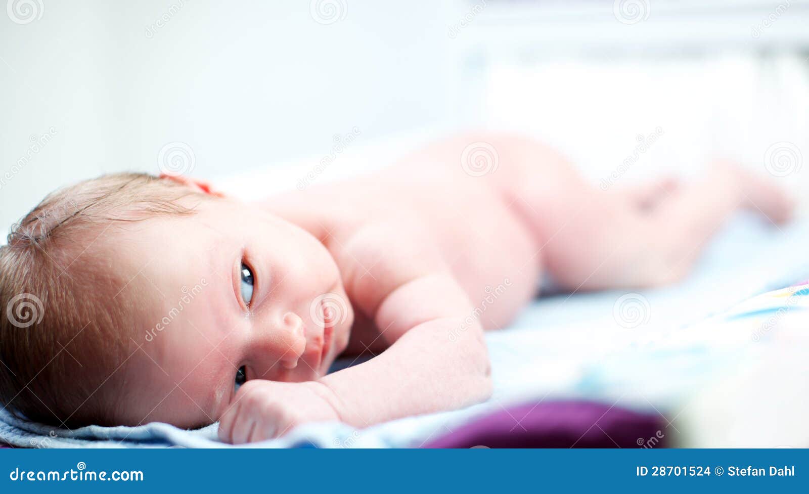Intelligent Little Newborn Baby Stock Photo - Image of cute, face: 28701524