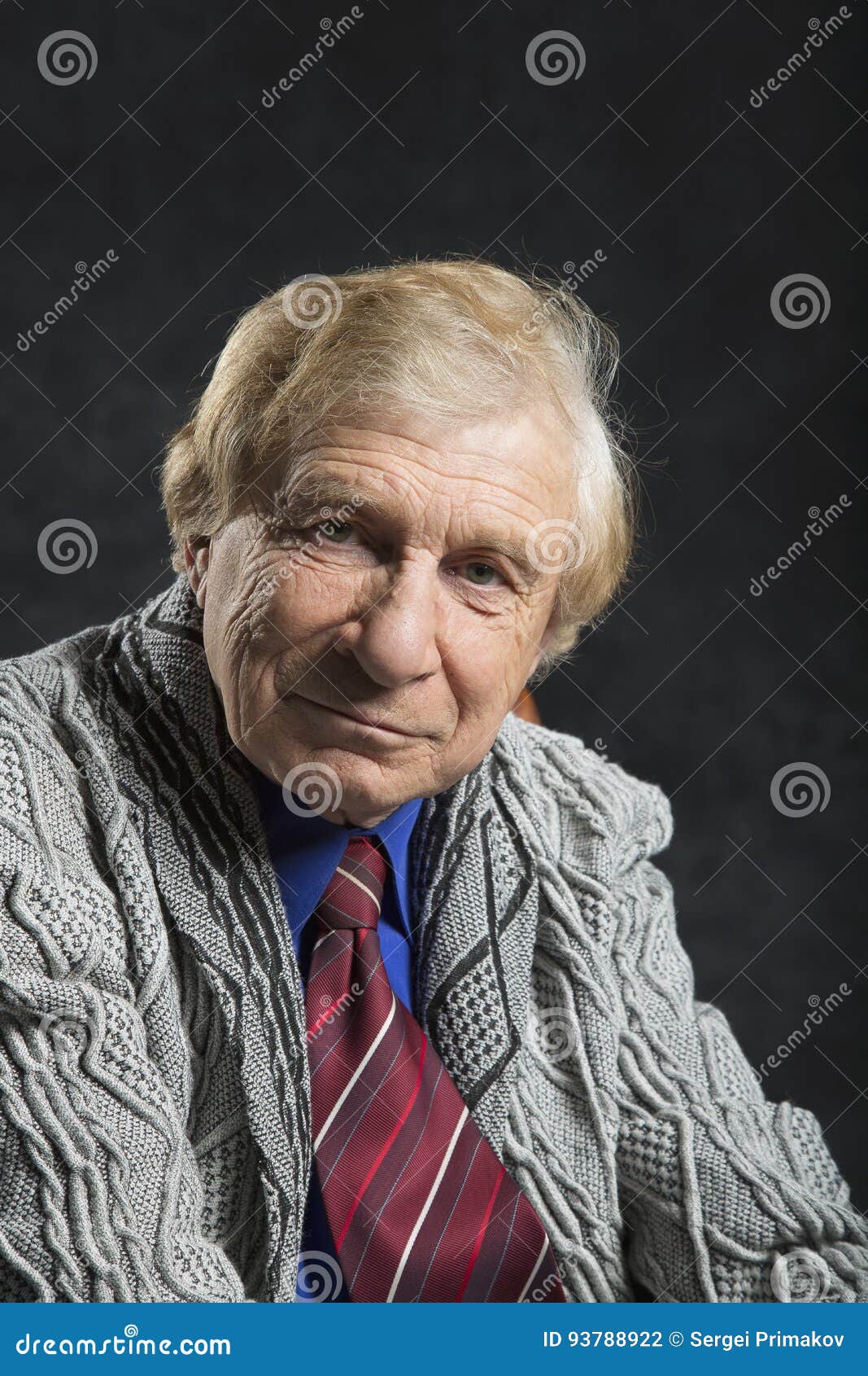 Intelligent old man stock photo. Image of beauty, business - 93788922