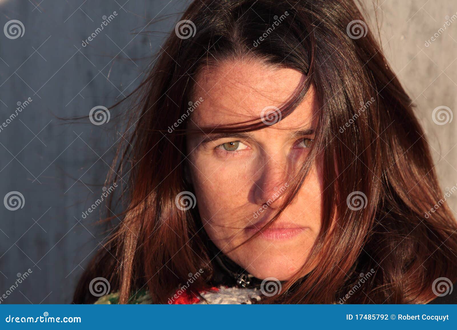 Intense stock photo. Image of bautiful, eyes, warm, close - 17485792
