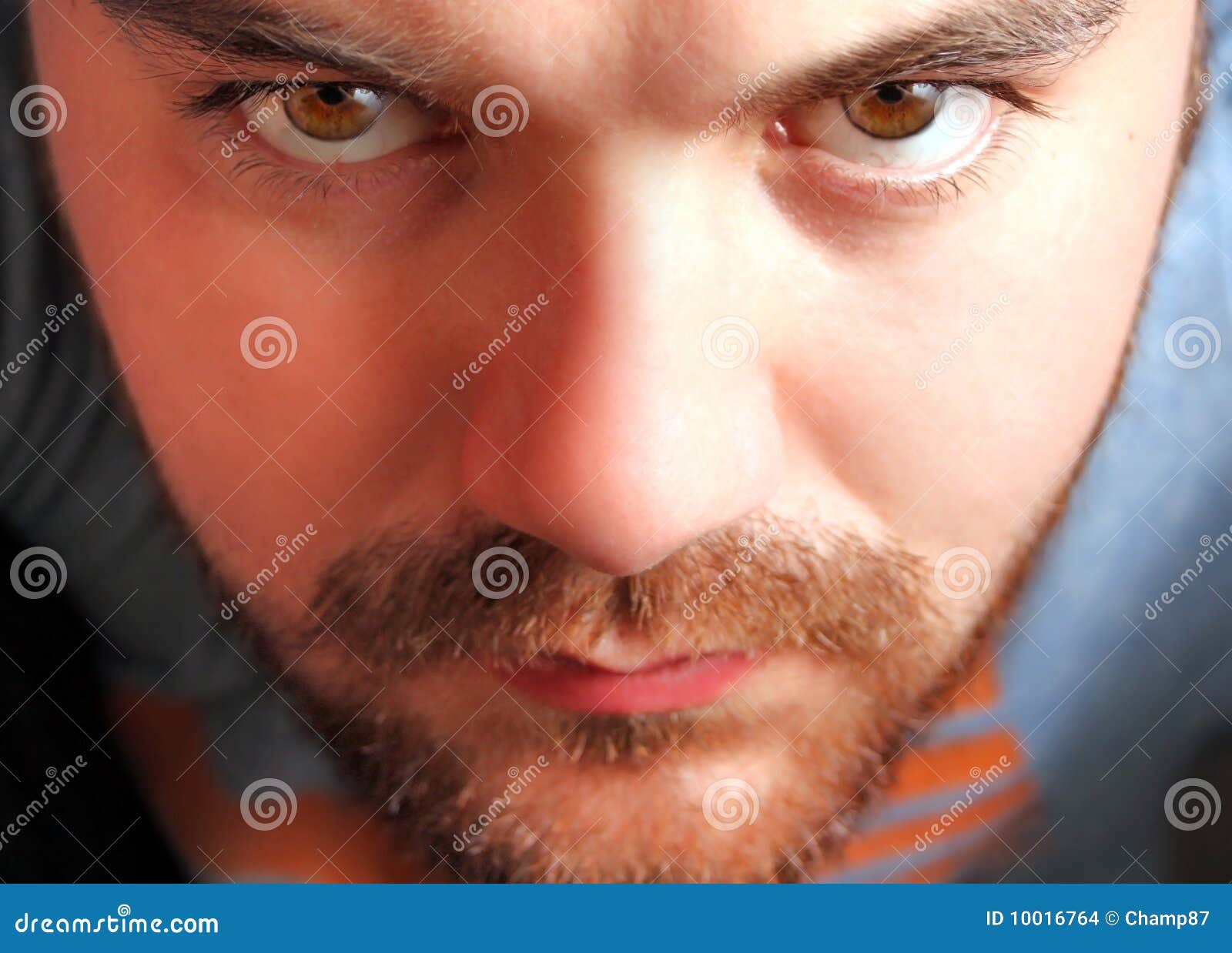 Intense Eyes stock photo. Image of strong, people, bold - 10016764