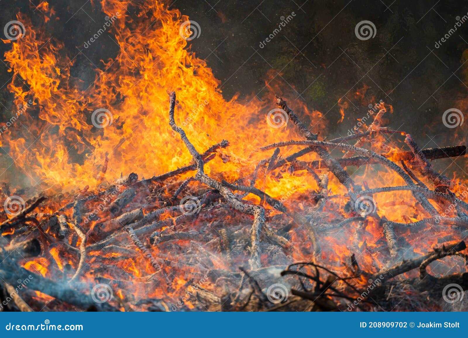 Intense fire stock photo. Image of soil, fire, dark - 208909702