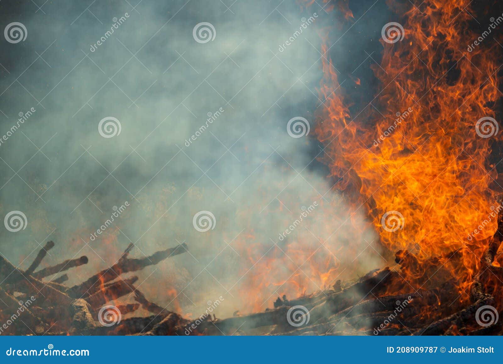 Intense fire stock image. Image of flame, quail, morning - 208909787