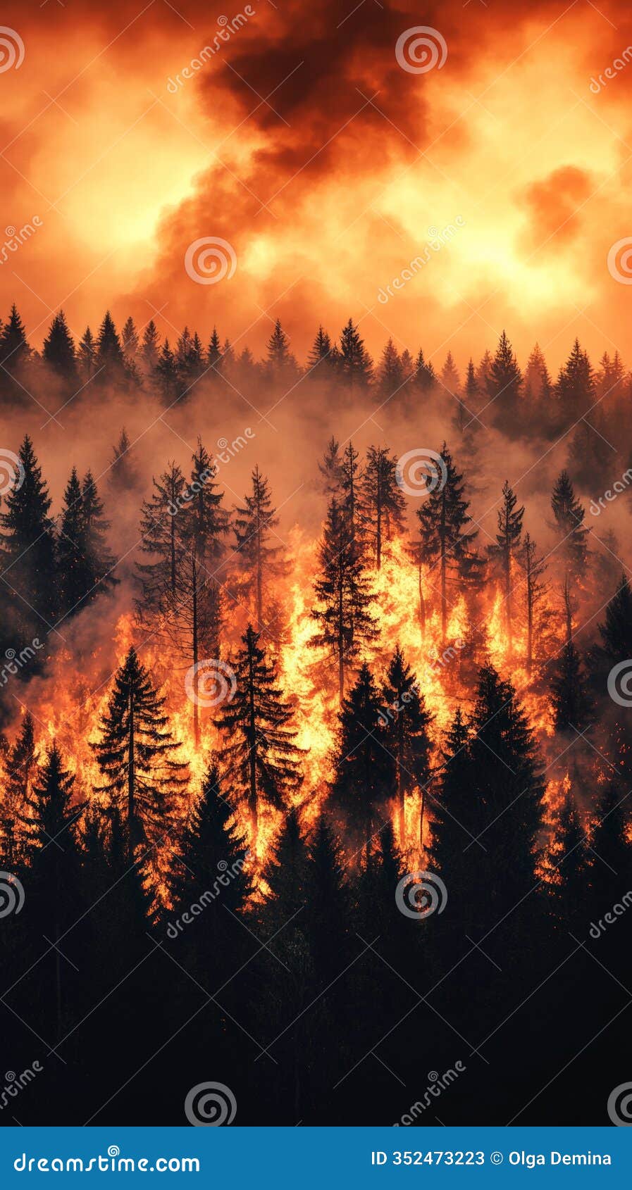 Wildfire Burning through Pine Forest, Creating Dense Smoke and Flames ...