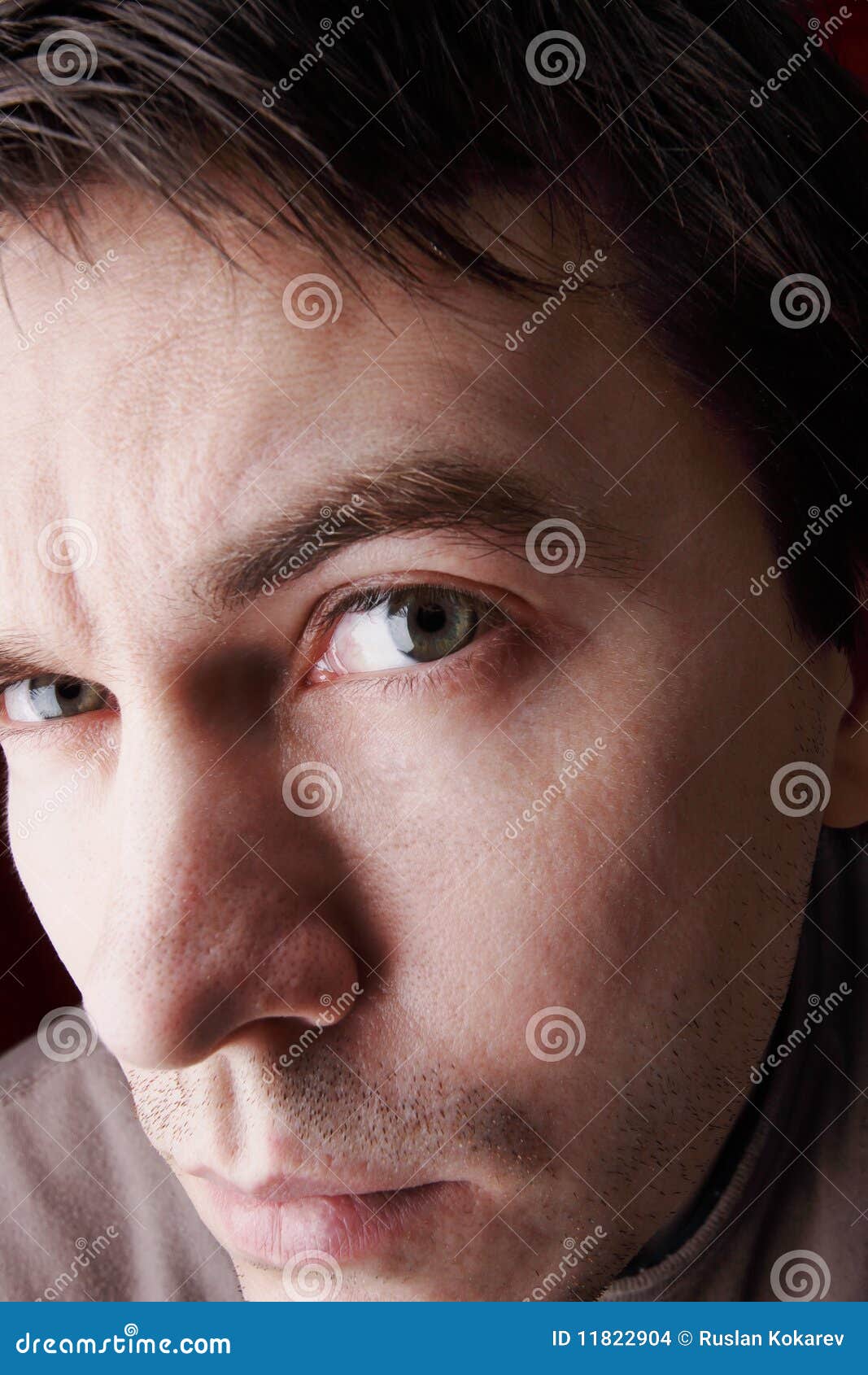Intent gaze. stock photo. Image of unkempt, confident - 11822904