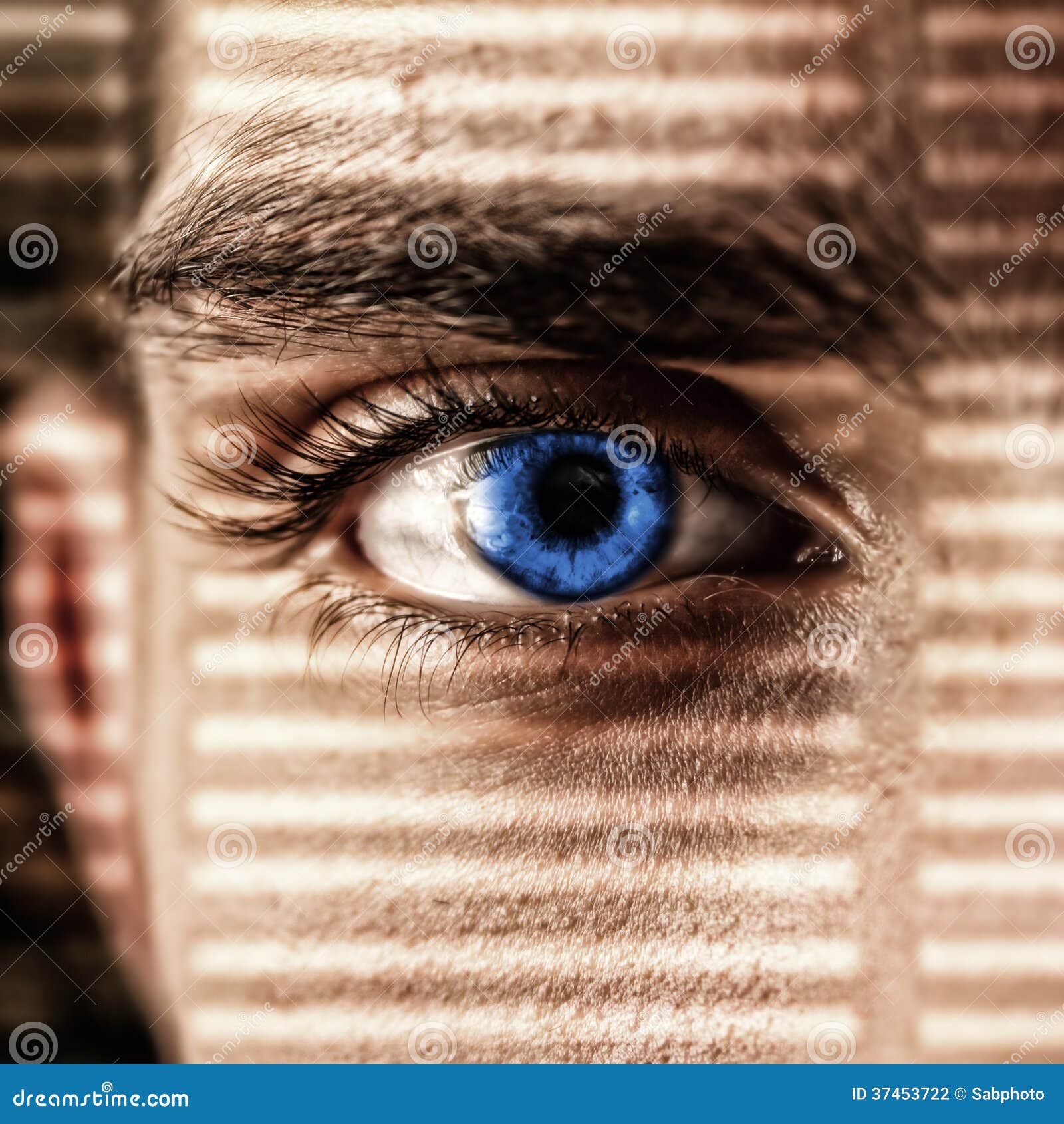 Intent Look Concept stock photo. Image of eyes, imagination - 37453722